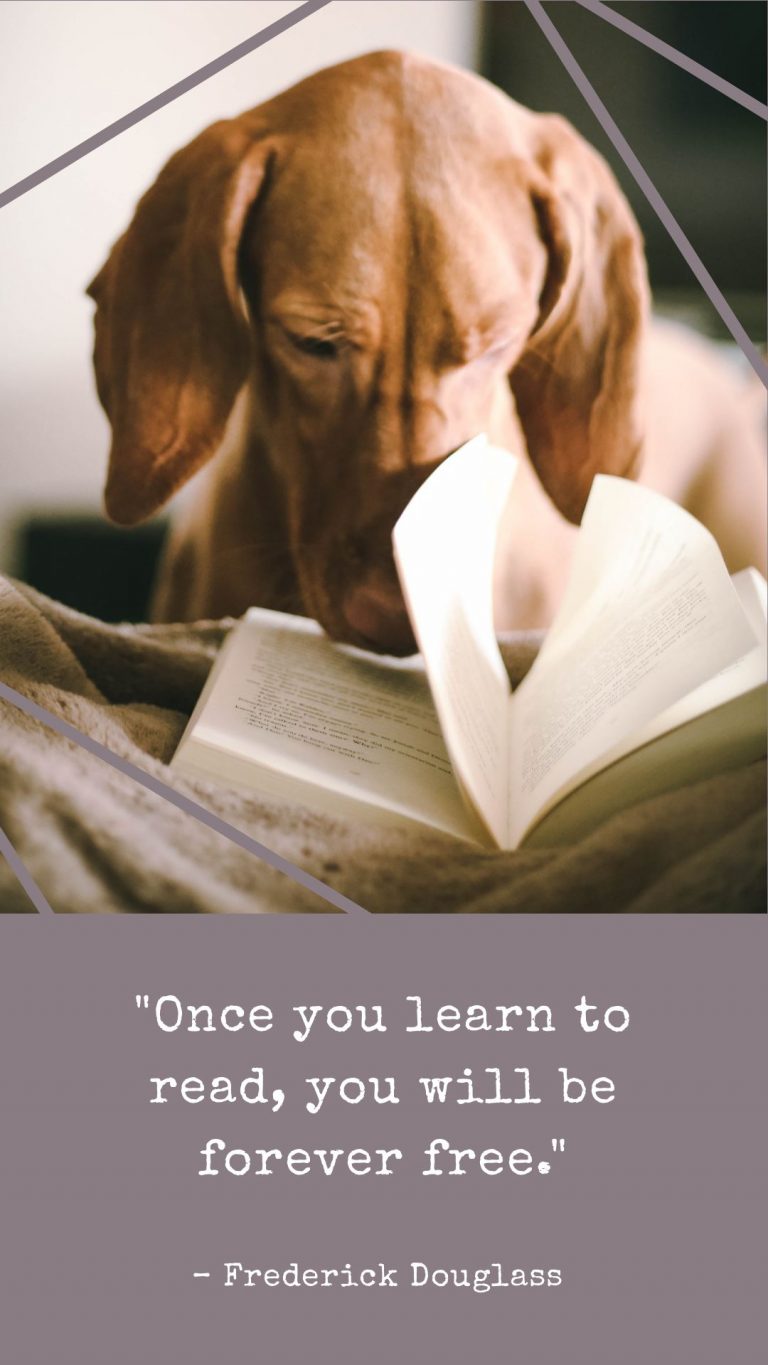 100+ September Content Calendar Ideas & Templates - Easil