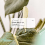 How to create a notification graphic for Instagram + 11 free templates ...