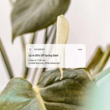 How to create a notification graphic for Instagram + 11 free templates ...