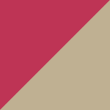 How to use Viva Magenta - Pantone Color of the Year 2023 in your ...