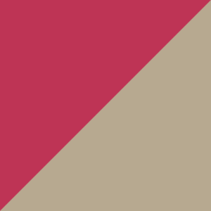 How to use Viva Magenta - Pantone Color of the Year 2023 in your ...