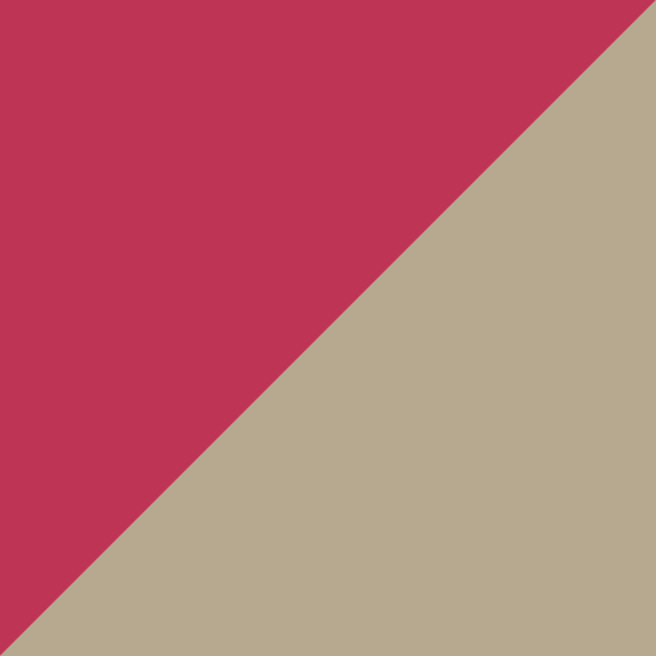 How to use Viva Magenta - Pantone Color of the Year 2023 in your ...