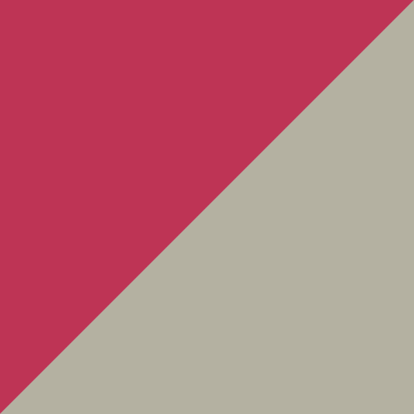 How to use Viva Magenta - Pantone Color of the Year 2023 in your ...