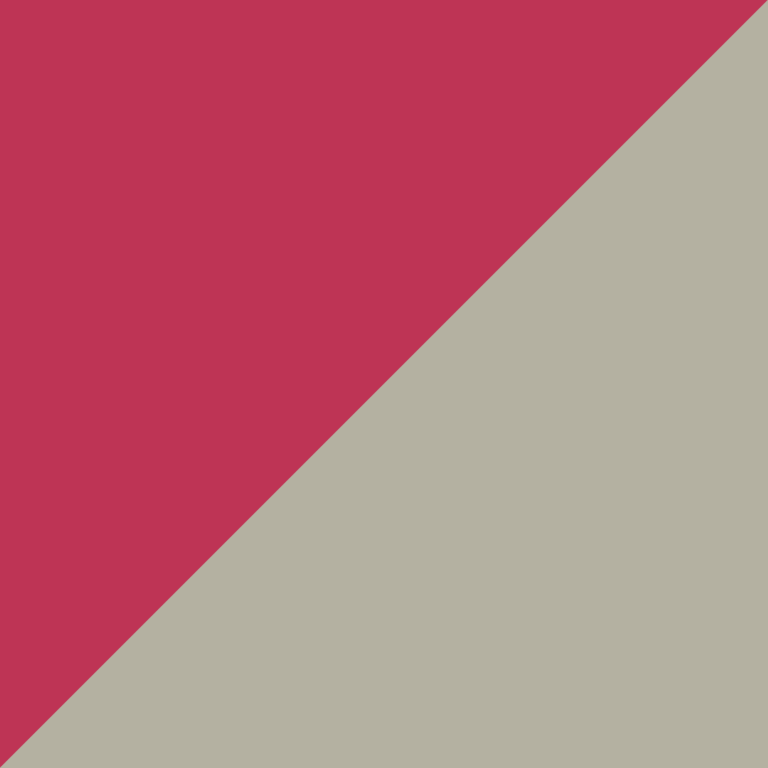 How to use Viva Magenta - Pantone Color of the Year 2023 in your ...